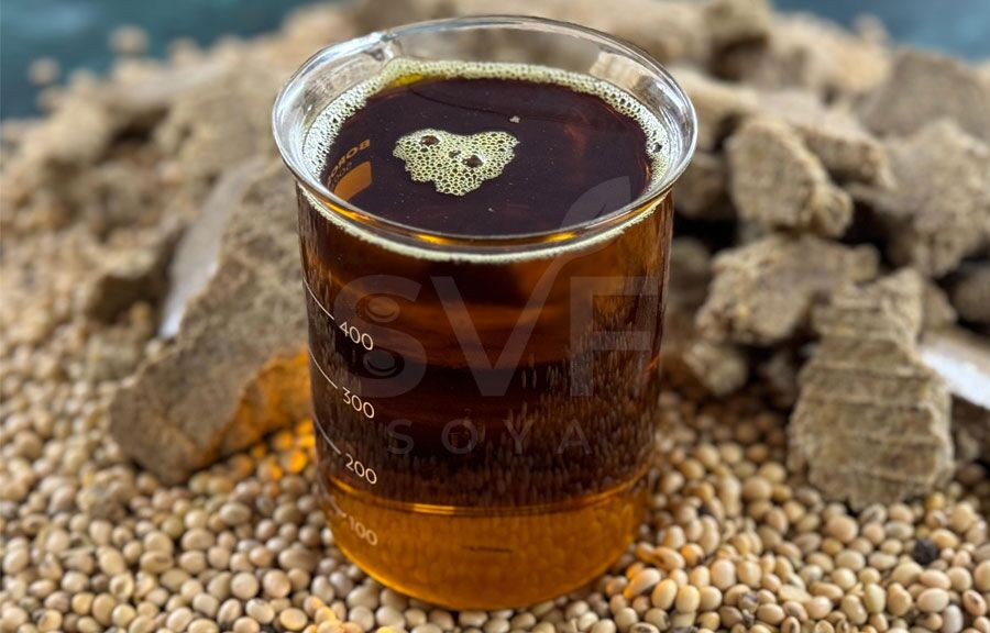 Non GMO Crude Soya Oil Manufacturer, Exporter & Supplier - SVF Soya