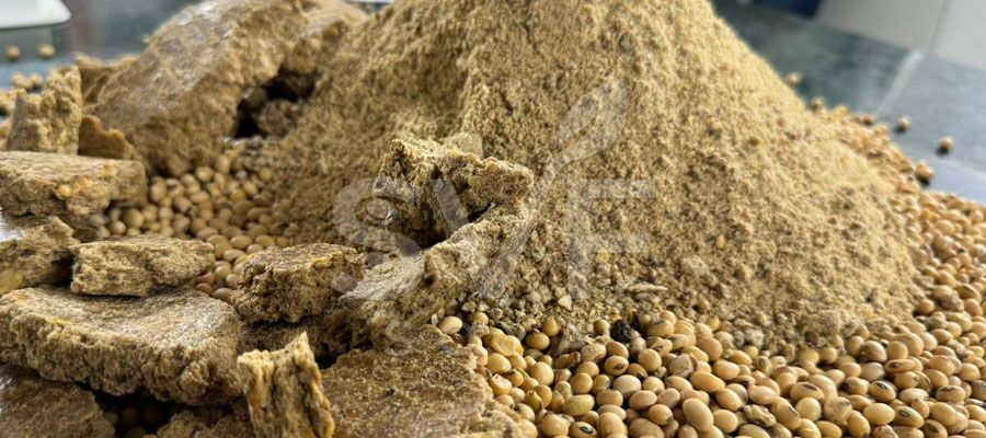Non GMO Soya Meal Manufacturer, Exporter & Supplier in India - SVF Soya